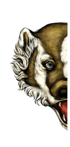 Mythology Distillery | Premium Hand Crafted Spirits