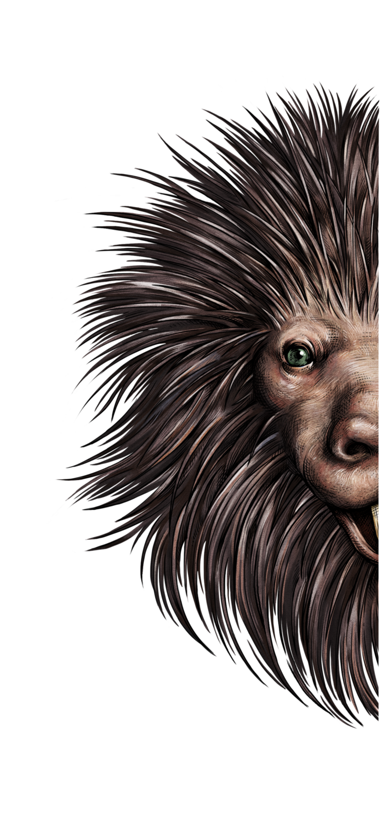 Discover Your Spirit Animal | Mythology Distillery